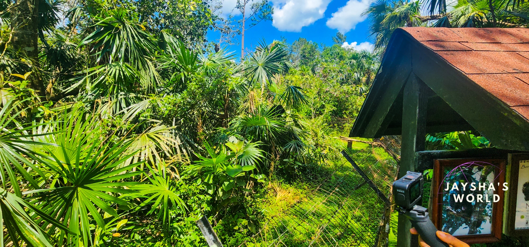 Photos - Jaysha's World